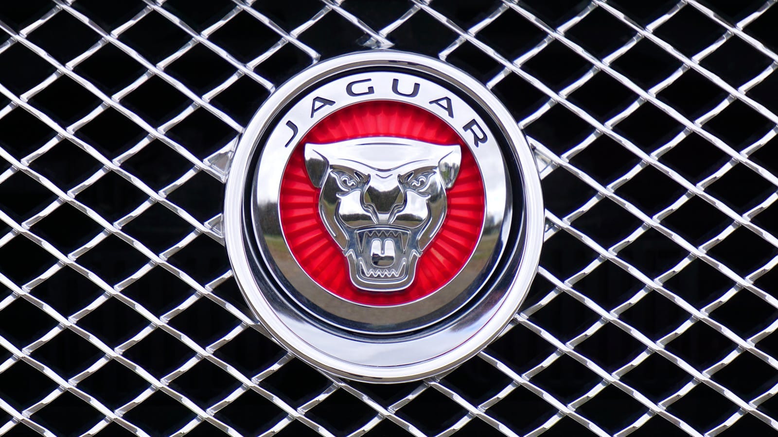 Icons With Consequence: When Visual Branding Delivers Rea ...