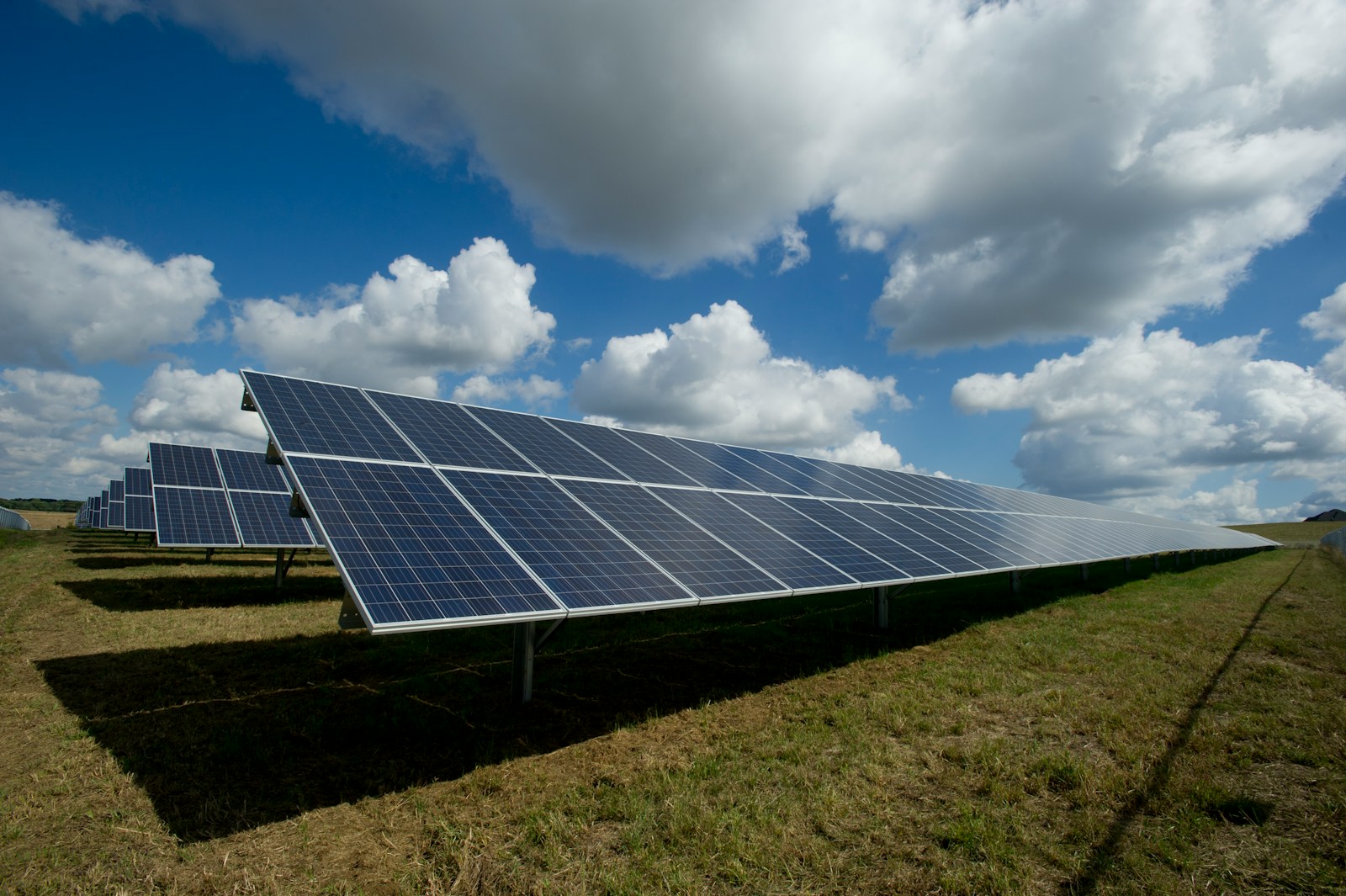Solar That Lasts: Andre Chavez's IEEE Honour Puts Durabil... | Rich Man ...
